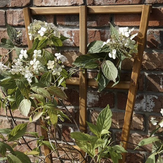 Prestige Wooden Fan Trellis 120x50cm