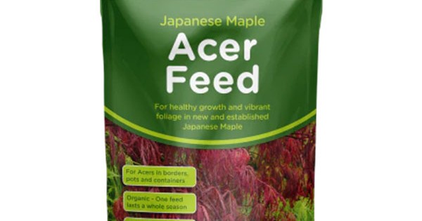 Vitax Acer Fertiliser Feed 900g | Vx330